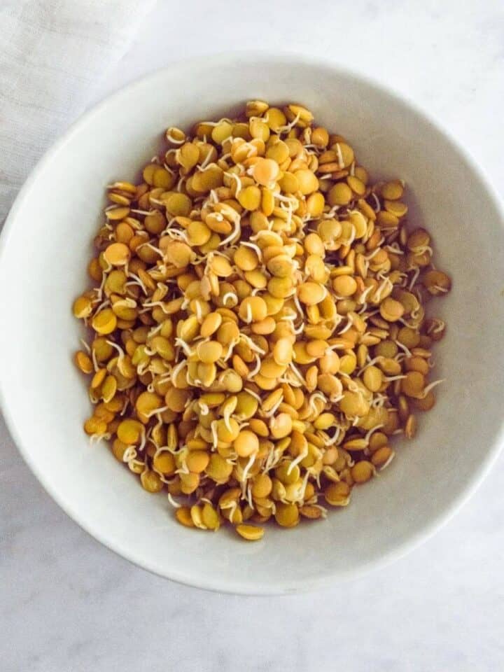 How to Sprout Chickpeas (the easy way). - flourishingkitchen.com