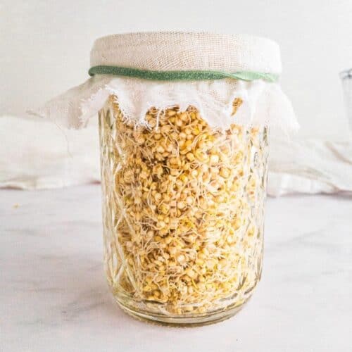 How to Sprout Quinoa (Quick and Easy) - flourishingkitchen.com