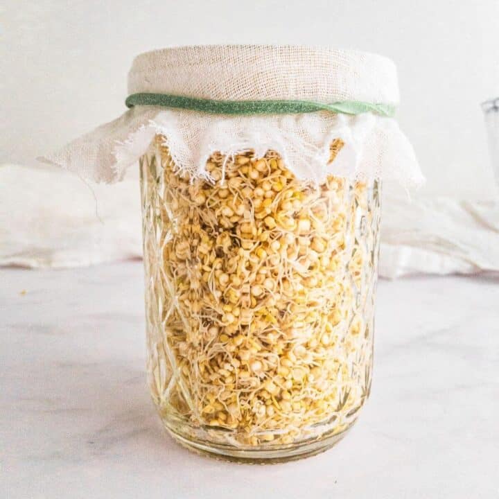 How to Sprout Quinoa (Quick and Easy) - flourishingkitchen.com