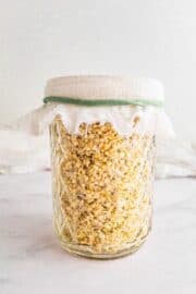 How to Sprout Quinoa (Quick and Easy) - flourishingkitchen.com