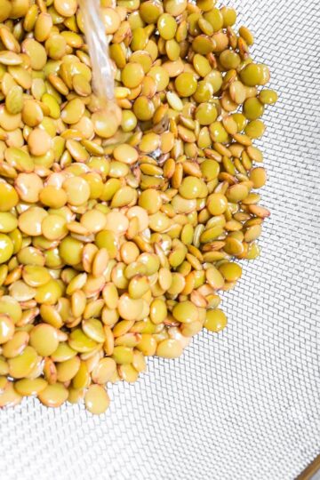 How to Sprout Lentils (in 3 easy steps) - flourishingkitchen.com