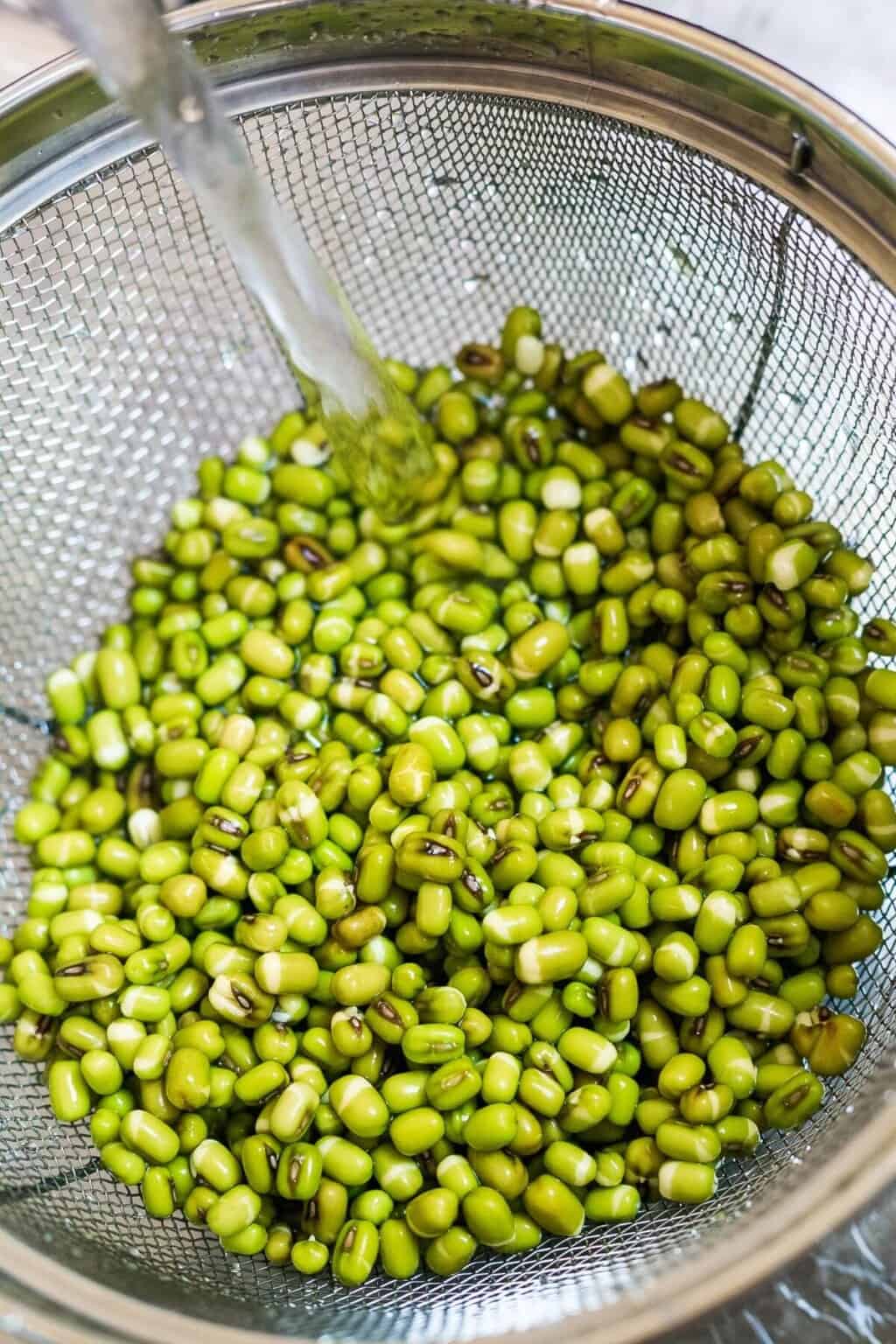 Sprouting Mung Beans (Quick & Easy) - flourishingkitchen.com
