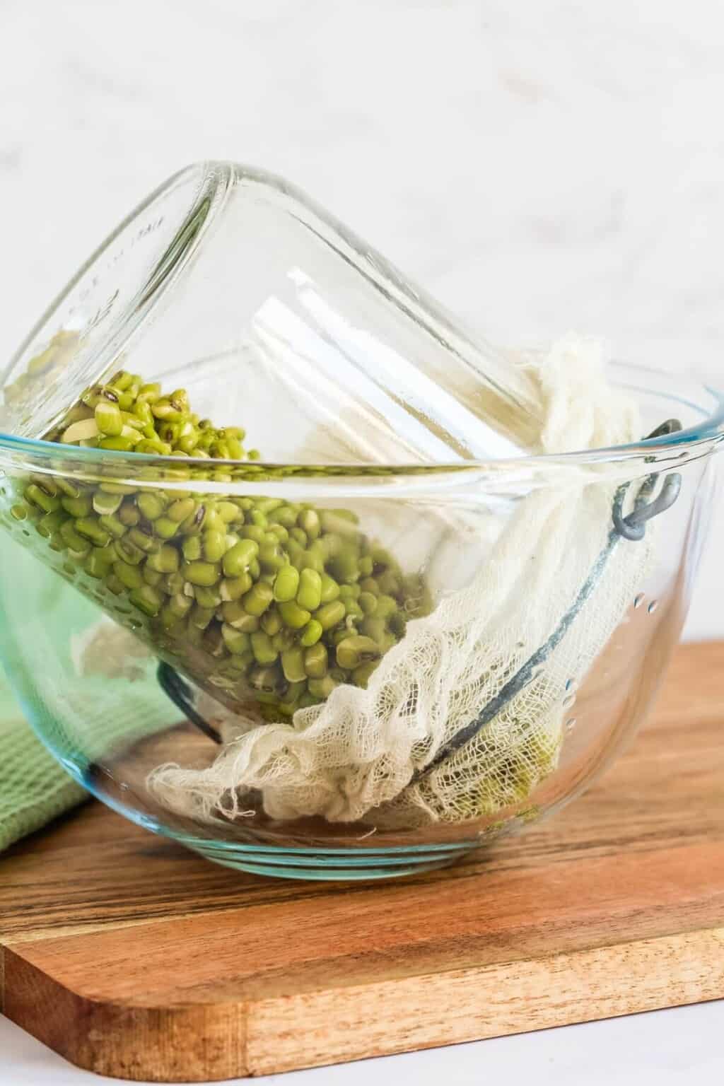 Sprouting Mung Beans (Quick & Easy) - flourishingkitchen.com