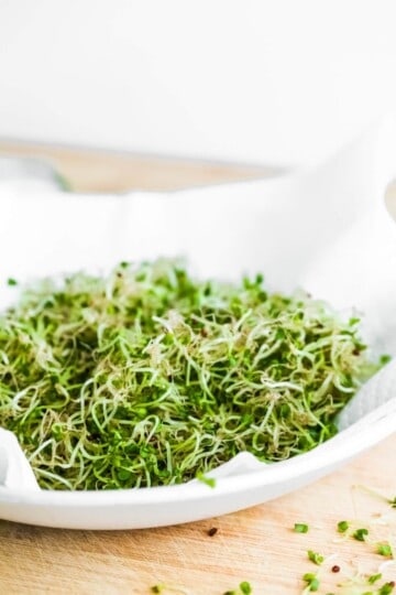 How to Grow Broccoli Sprouts (jar method) - flourishingkitchen.com