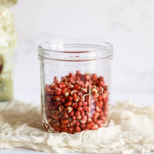 How to Sprout Quinoa (Quick and Easy) - flourishingkitchen.com